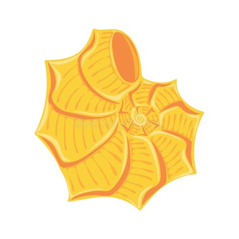 Hand Drawn Seashell Shellfish Stock Vector Illustration Of Collection Crustacean