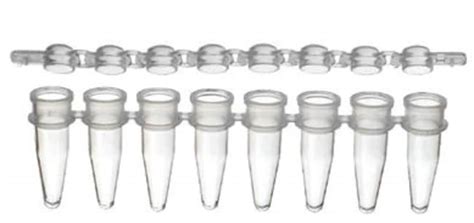 Labcon Tiras De Tubos Y Tapones Para Pcr Pureplus De Ml Y Pocillos Fisher Scientific