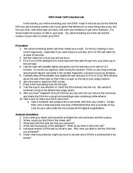 Human DNA Extraction Lab By Synergistic Learning TPT