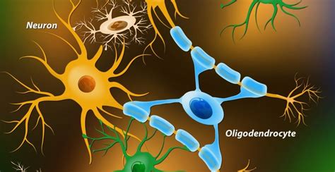 Global Targeted Drugs For Multiple Sclerosis Market L Vijay Posted On