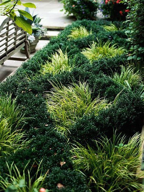 17 Images About Landscaping Grasses On Pinterest Gardens Sun And