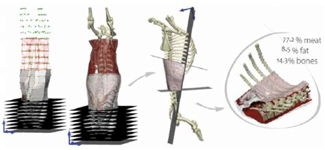 Illustration Of The Compositional Analysis Of A Retail Cut The 3d Download Scientific Diagram