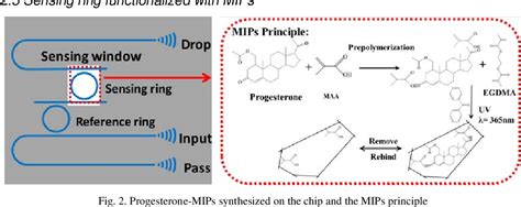 Figure 2 From Highly Sensitive Optical Biosensor Based On Equal Fsr