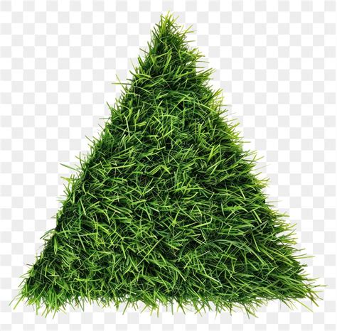 Snow Tree PNG Images Free Photos PNG Stickers Wallpapers Backgrounds Rawpixel