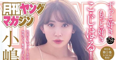 月刊ヤングマガジン 2025年 No3 Akb48lover