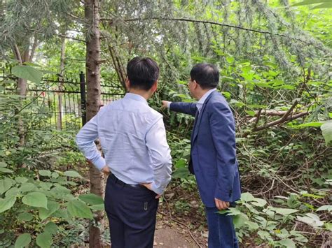 【图片新闻】省教育厅校园安全督查组申雪峰一行到校检查指导工作 渭南师范学院新闻网