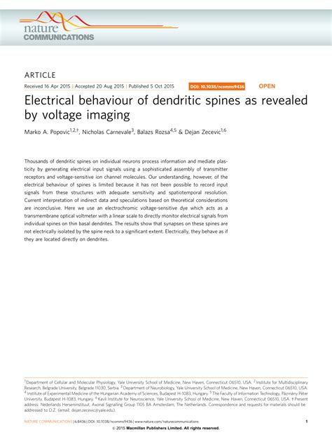 Pdf Electrical Behaviour Of Dendritic Spines As Revealed By Voltage