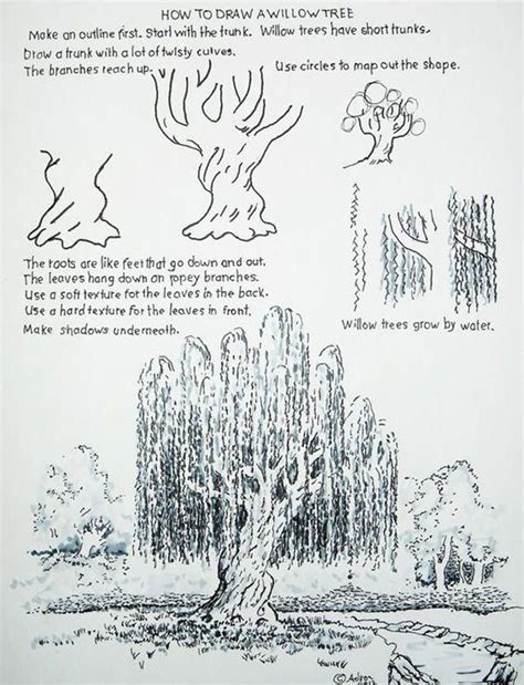 How To Draw A Tree Step By Step Image Guides Artofit