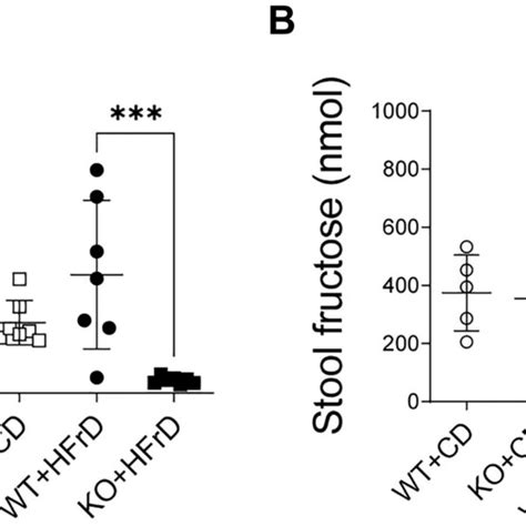 Decreased Iga⁺ Cell Numbers In The Small Intestine Lamina Propria Lp