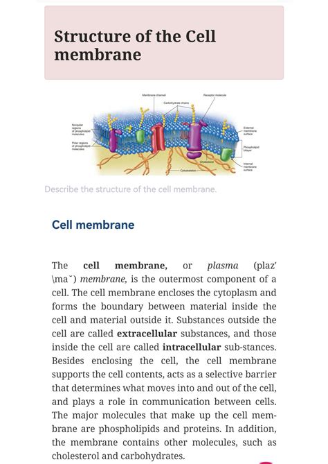 SOLUTION: Cell structure and their functions structure of the cell membrane - Studypool