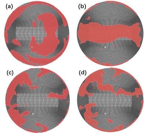 Schematics Of Solidified Meshes Along The Cross Section At Half Of The