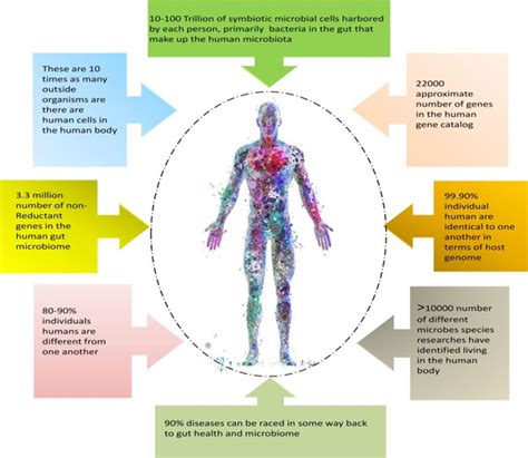 Integrating Microbiome Network Establishing Linkages Between Plants