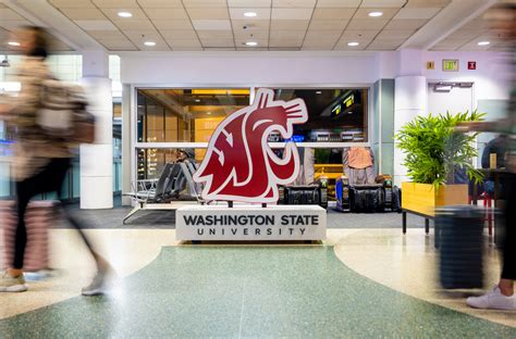 Wsu Display Installed At Seattle Airport For Holiday Travel Wsu