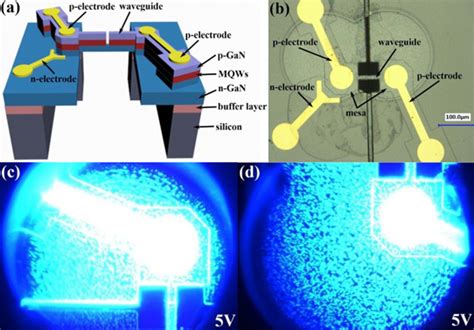 Gallium Nitride Light Emitting Diodes Photodiodes And Waveguides