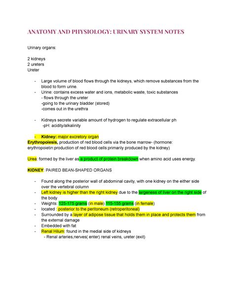 Anatomy AND Physiology Urinary System Notes ANATOMY AND PHYSIOLOGY URINARY SYSTEM NOTES