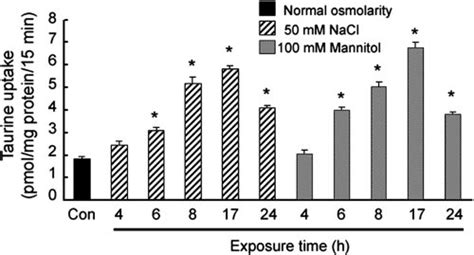 Influence Of Exposure Time To Hyperosmotic Conditions On Taurine Uptake Download Scientific