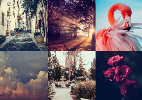 Way Back Home Theparnell One Piece Anime And Manga [archive Of Our Own]