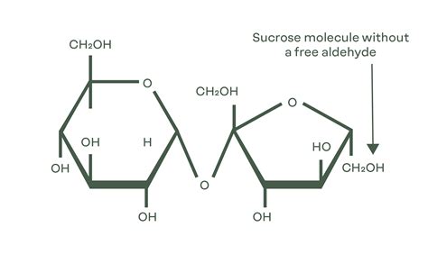What Is Dextrose Equivalent De Lehmann Ingredients