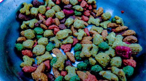 Hailey Schons Flickr