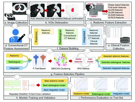 Workflow Of Data Analysis The Workflow Illustrates The Radiomic Download Scientific Diagram