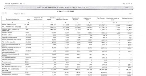 CONTUL DE EXECUTIE A BUGETULUI LOCAL CHELTUIELI 30 06 2020