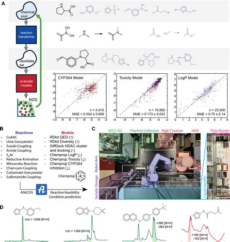 Bayesian Optimization Over Multiple Experimental Fidelities Accelerates Automated Discovery Of