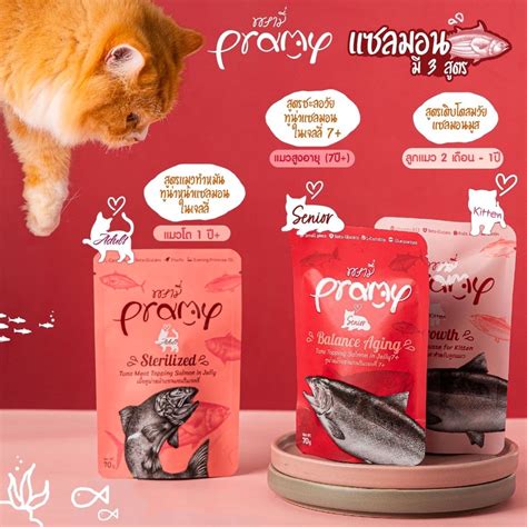 Pramy อาหารเปียกแมว สูตรใหม่ ขนาด70กรัม Shopee Thailand