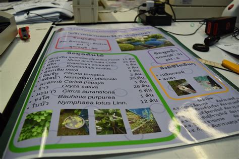 ปริ้นสี A2 กระดาษโฟโต้ 190แกรม ร้านแตงโมปริ้นติ้ง