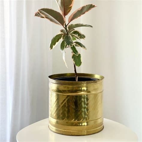 Brass Planter Etsy