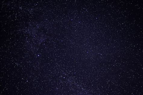 꽃 긴 노출 자연 밤 하늘 공간 별 Hd 배경 화면 Wallpaperbetter