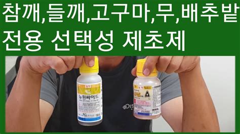 감자고구마들깨참깨 밭에 뿌리는 배랭이처럼 삐죽한 풀만 죽이는 제초제 당귀당근더덕도라지마늘무배추수박양파참외
