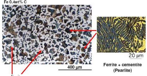Typical Microstructure Of 0 4 C Steel Revealed Ferrite And