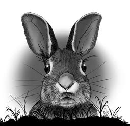 Writing Type Safe Polymorphic React Components Without Crashing TypeScript Andrew Branch