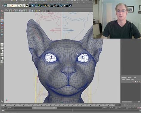 Animation Computergenerated Imagery
