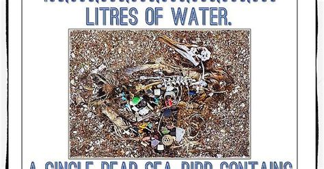 Example Of Our Amazing Power To Pollute And A Little Hope Imgur