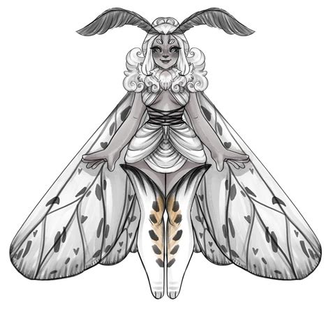 Cute Moth Drawing