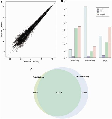 Sequencing And Expression Analysis A Plot Showing The Correlation Of