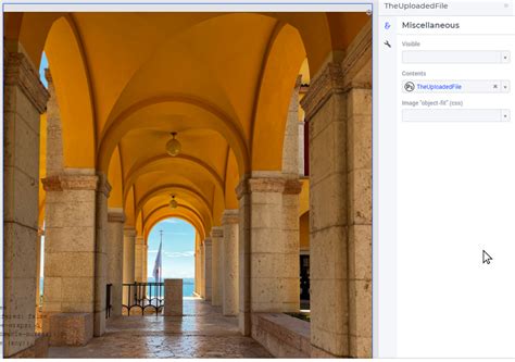 Image Widget — Webui Documentation