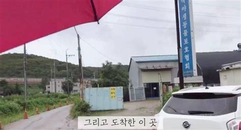 포인핸드 유기견 입양 과정 브이로그 인스티즈 instiz 이슈 카테고리