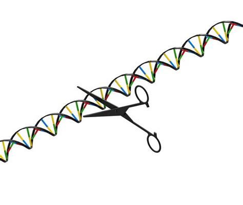 크리스퍼 유전자가위 의약품 세계 최초 승인