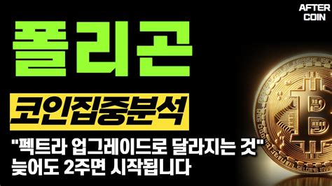 폴리곤 코인 펙트라 업그레이드로 달라지는 것 늦어도 2주면 시작됩니다 폴리곤코인전망 폴리곤코인분석 폴리곤코인시세