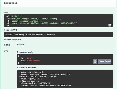 Using Swagger In Vmmanager — Ispsystem Instructions