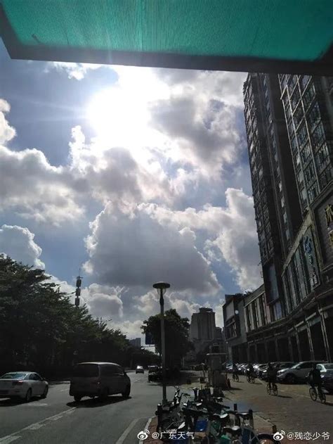 颱風「鸚鵡」生成，明天將正面襲擊廣東！大風大雨今晚到貨 每日頭條