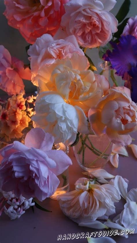 Html Sitemap Flowers Photography Beautiful Flowers Flower Aesthetic