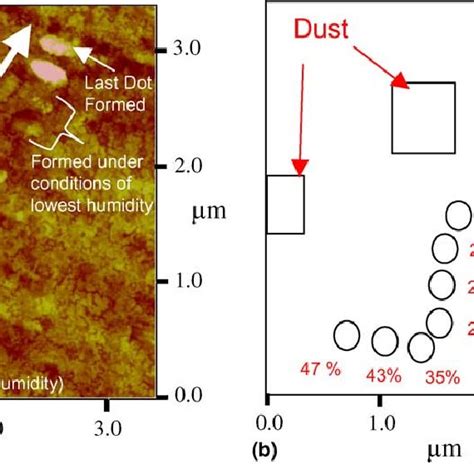 A Afm Tapping Mode Topographic Image Of Oxide Dots Made On Alpdmn