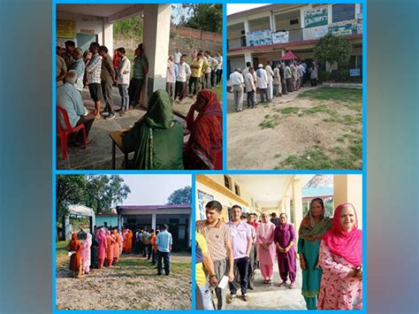 Himachal Pradesh By Elections Record 1596 Voter Turnout Headlines