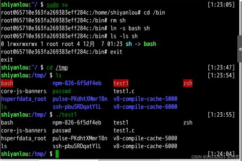 Linuxset Uid权限漏洞实验:安全与滥用 Csdn博客 Linuxset Uid权限漏洞实验:安全与滥用 Csdn博客