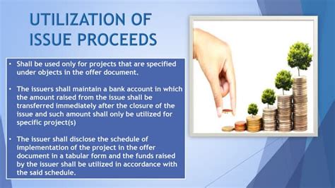 Issue Of Securities Ppt