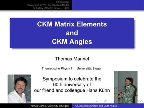 Ckm Matrix Elements And Ckm Angles Theoretische Physik 1