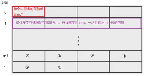 三、存储系统（三）主存储器单体多字存储器 Csdn博客